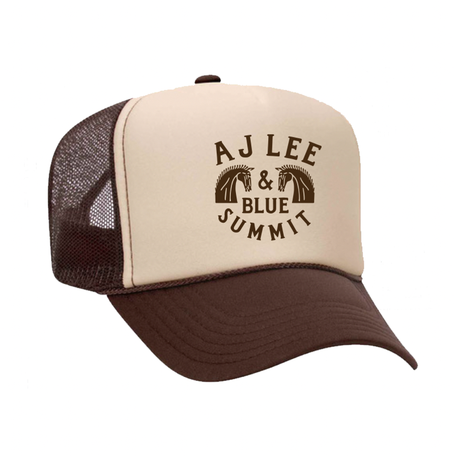 AJ Lee & Blue Summit Official Merch Store